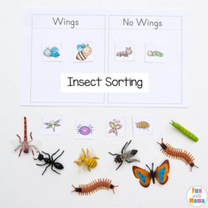 Insect Theme Sorting Worksheet + Bug Activities