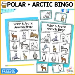 Arctic Animals Bingo