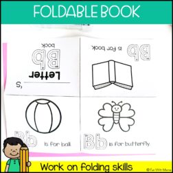 Alphabet Mini books
