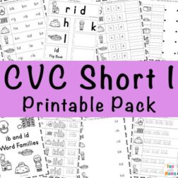 CVC Short I Worksheets
