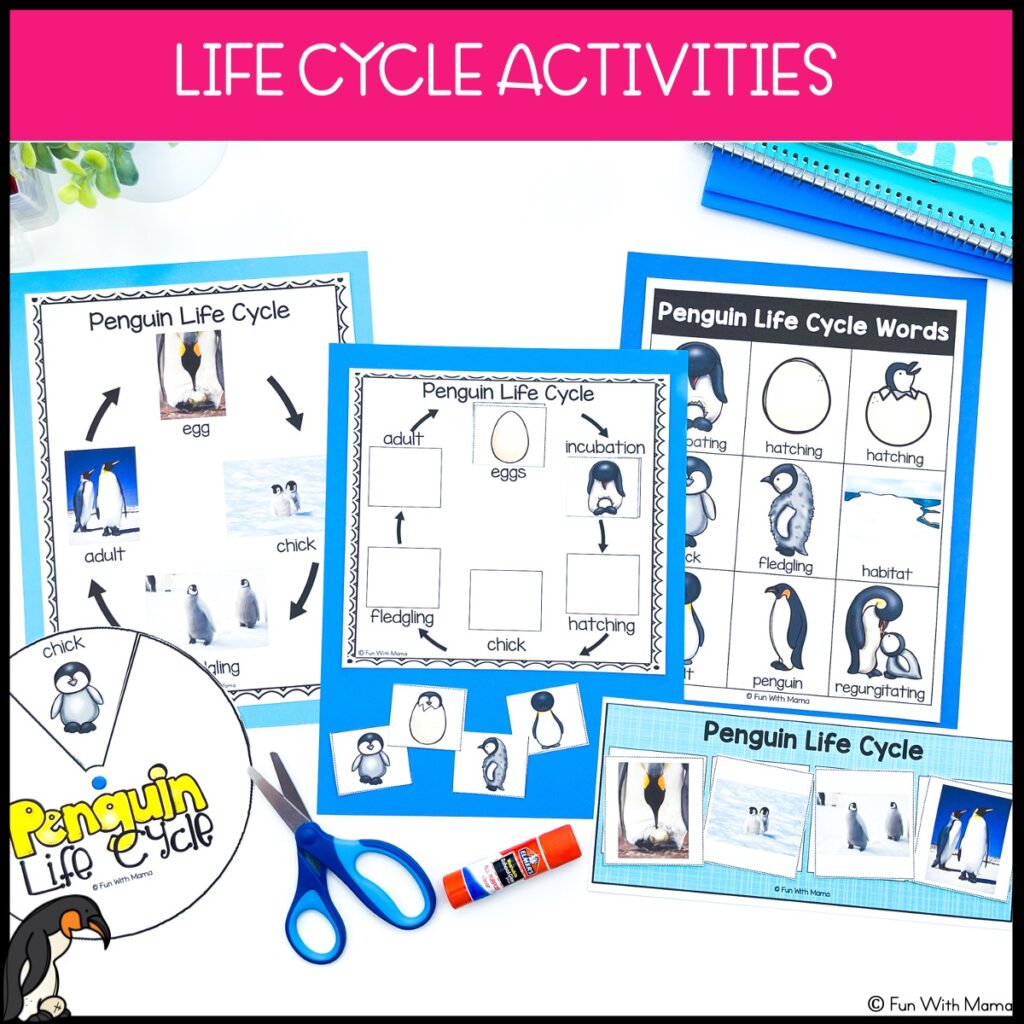 Penguin Science Life Cycle and Penguin Activities