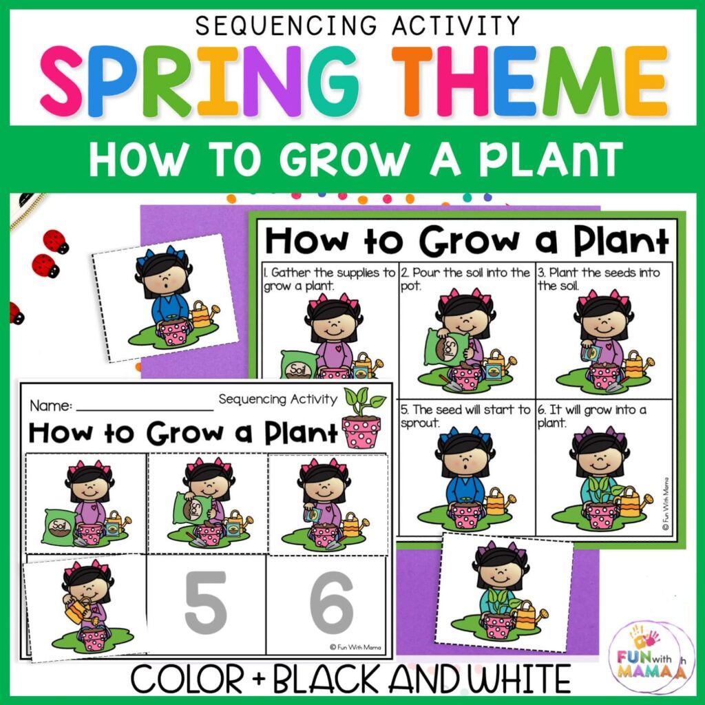 How To Grow A Plant