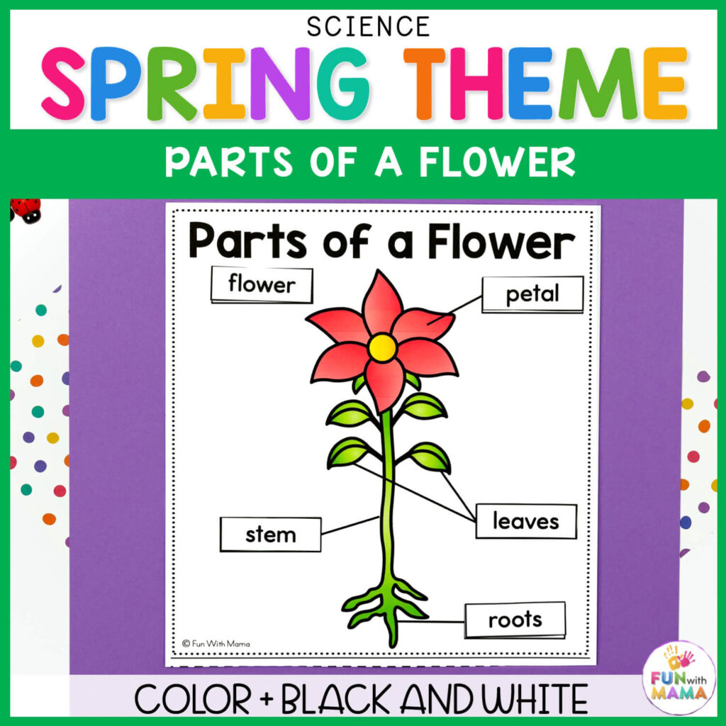 Spring Theme Pack