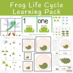 Frog Learning Pack