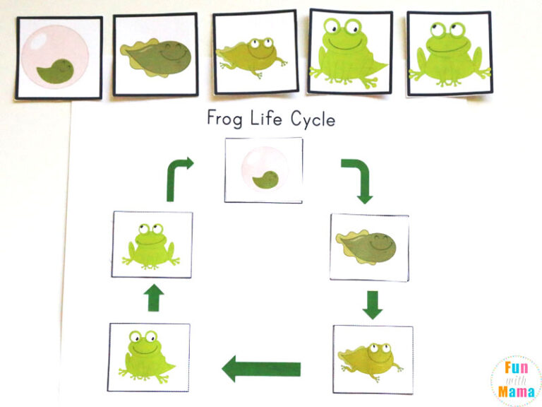 Frog Learning Pack