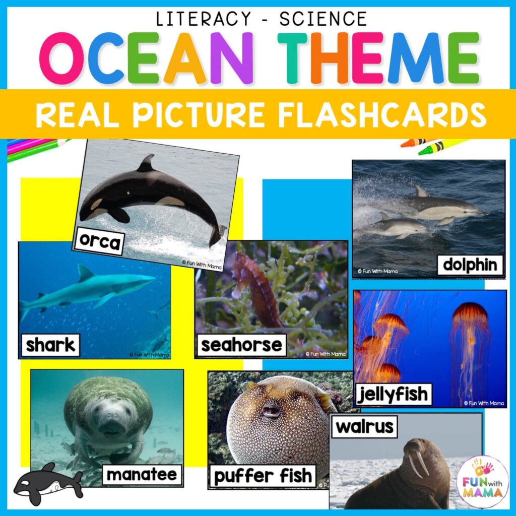 Ocean Real Picture Flashcards