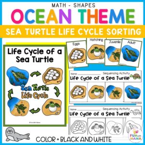 Sea Turtle Life Cycle