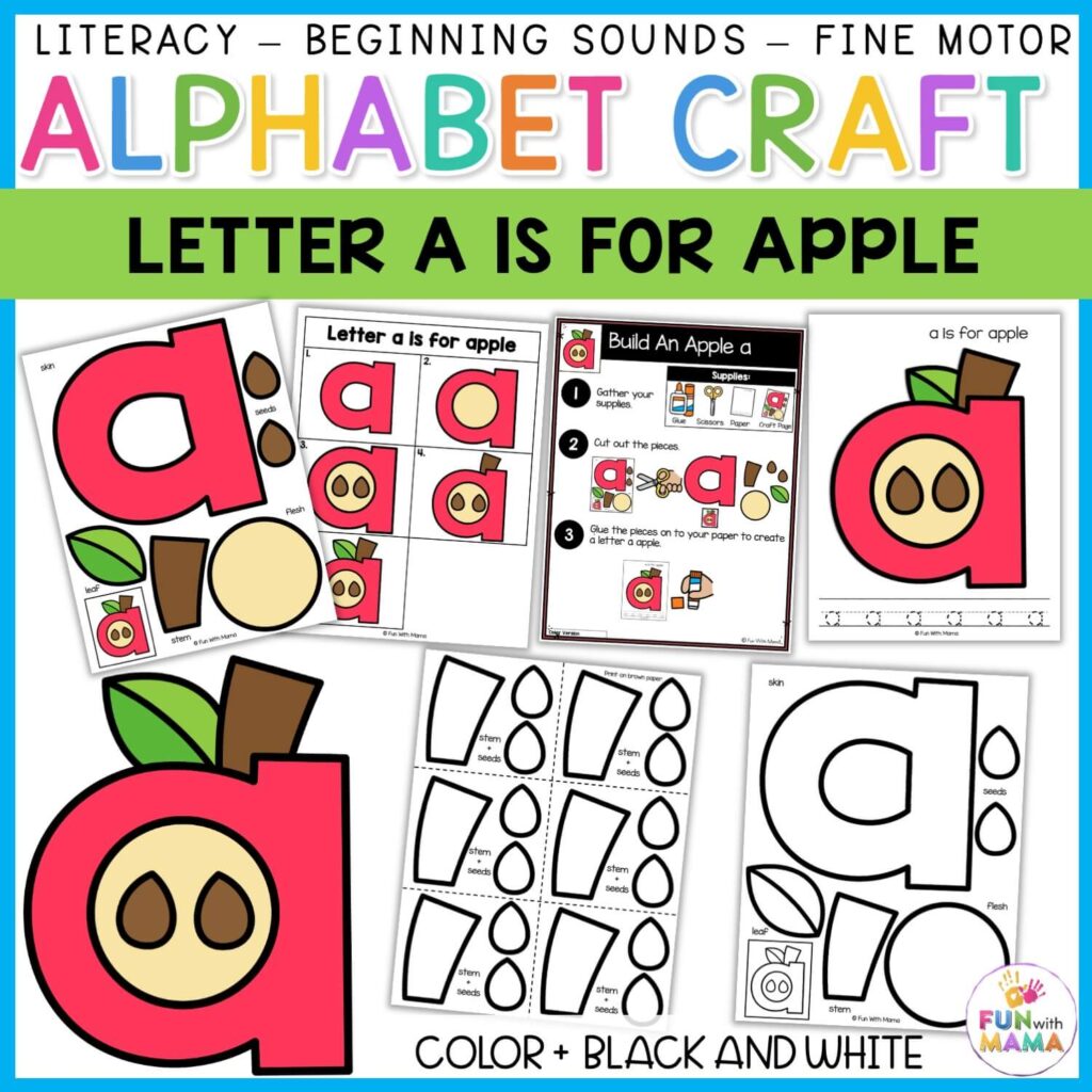 Apple Shape Matching Seeds
