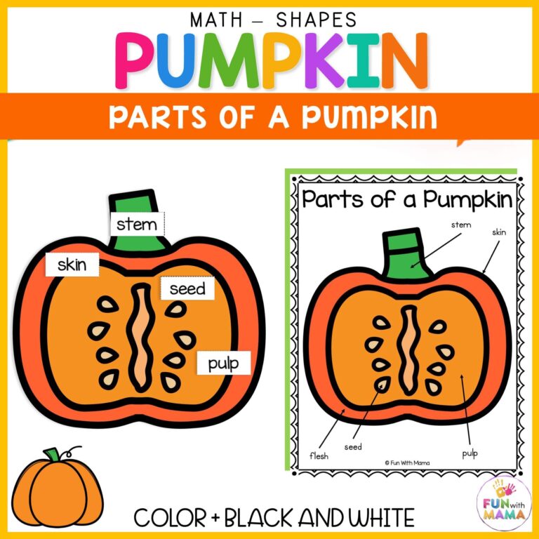 Parts Of A Pumpkin