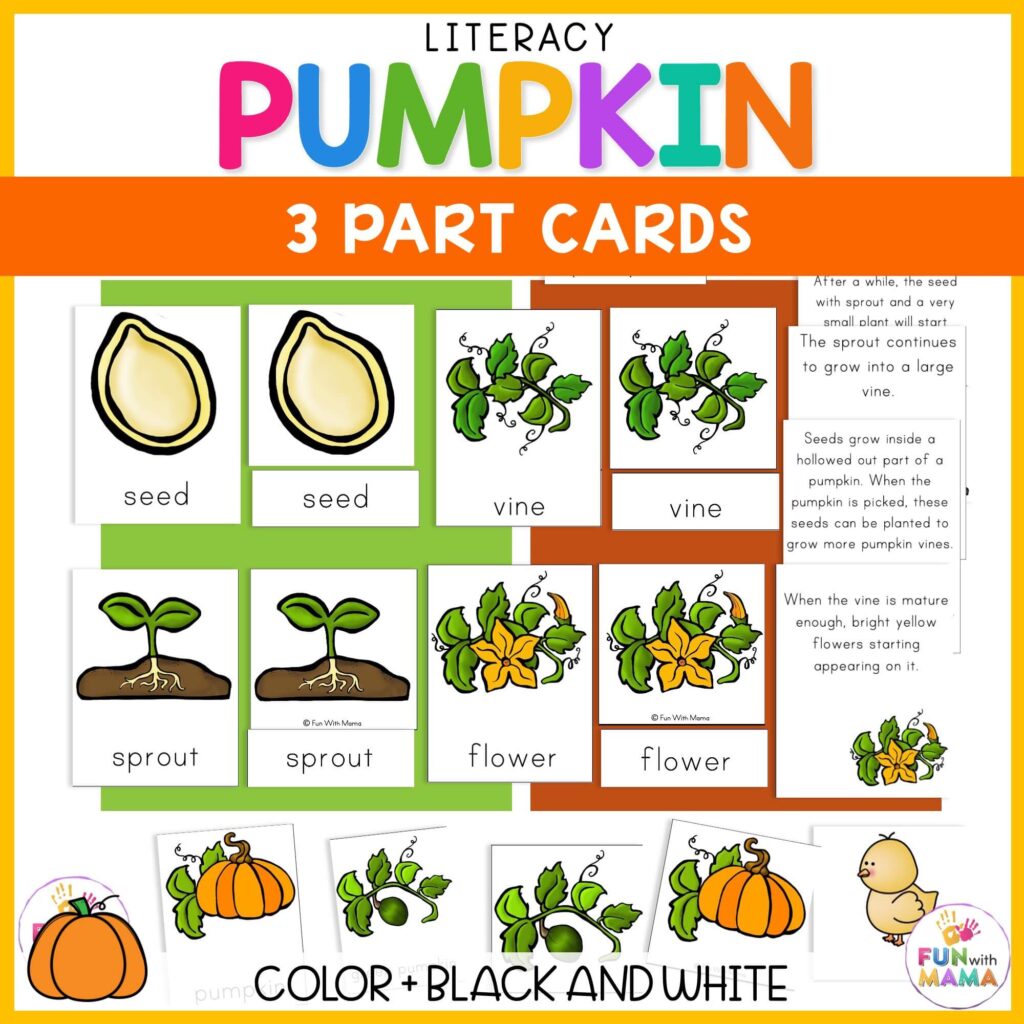 Pumpkin Addition Subtraction Cards