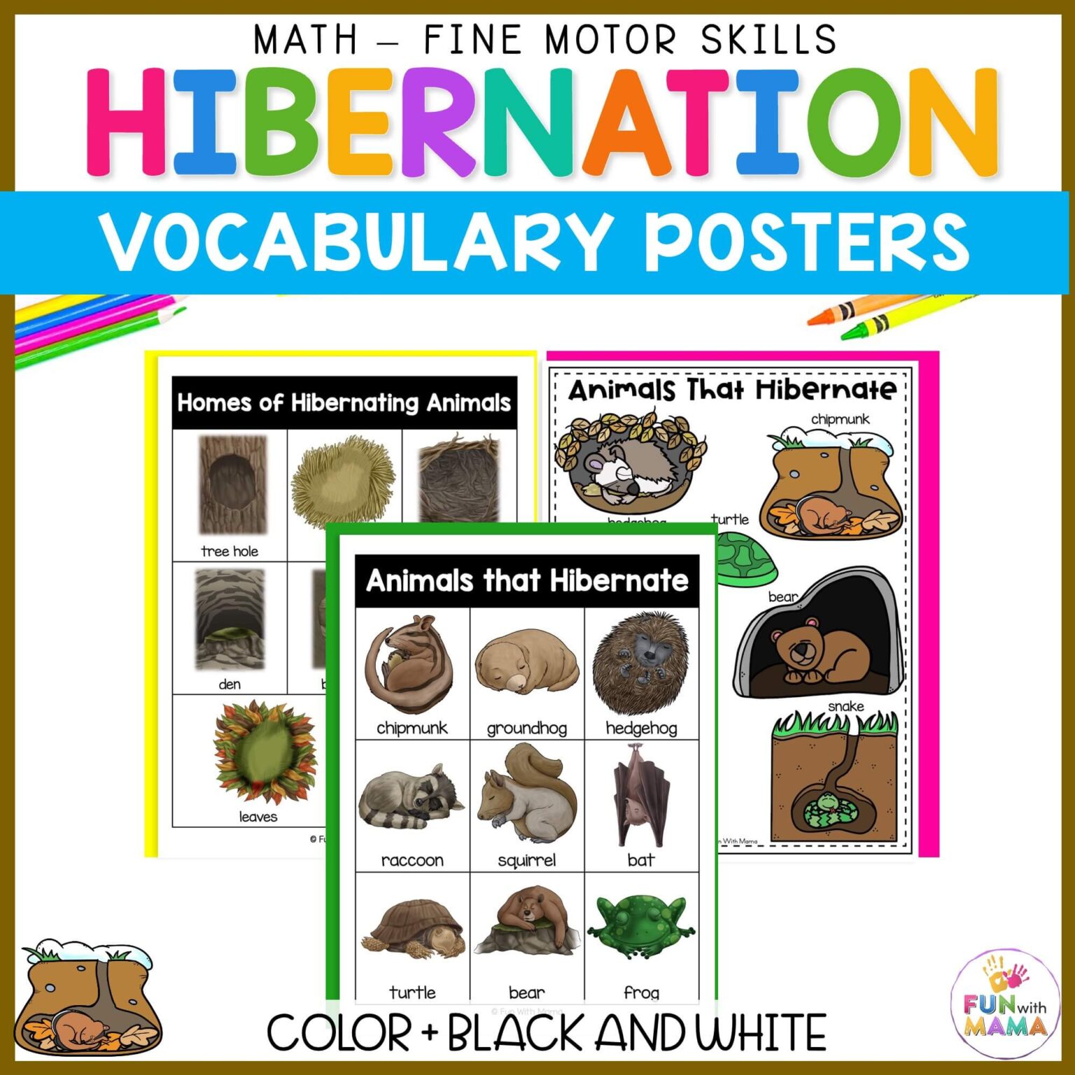 Hibernation Vocabulary Posters